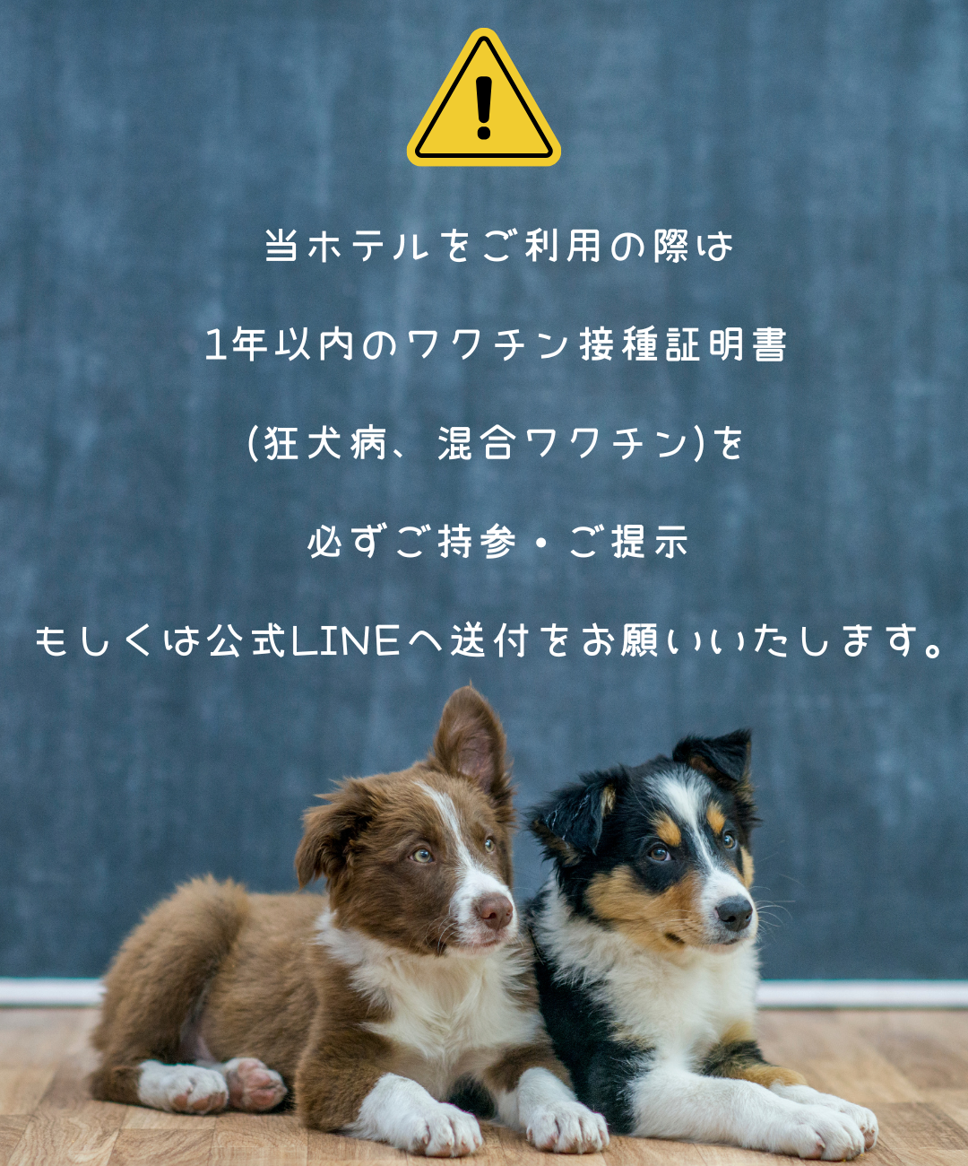 ペットホテル | K9‐CREW